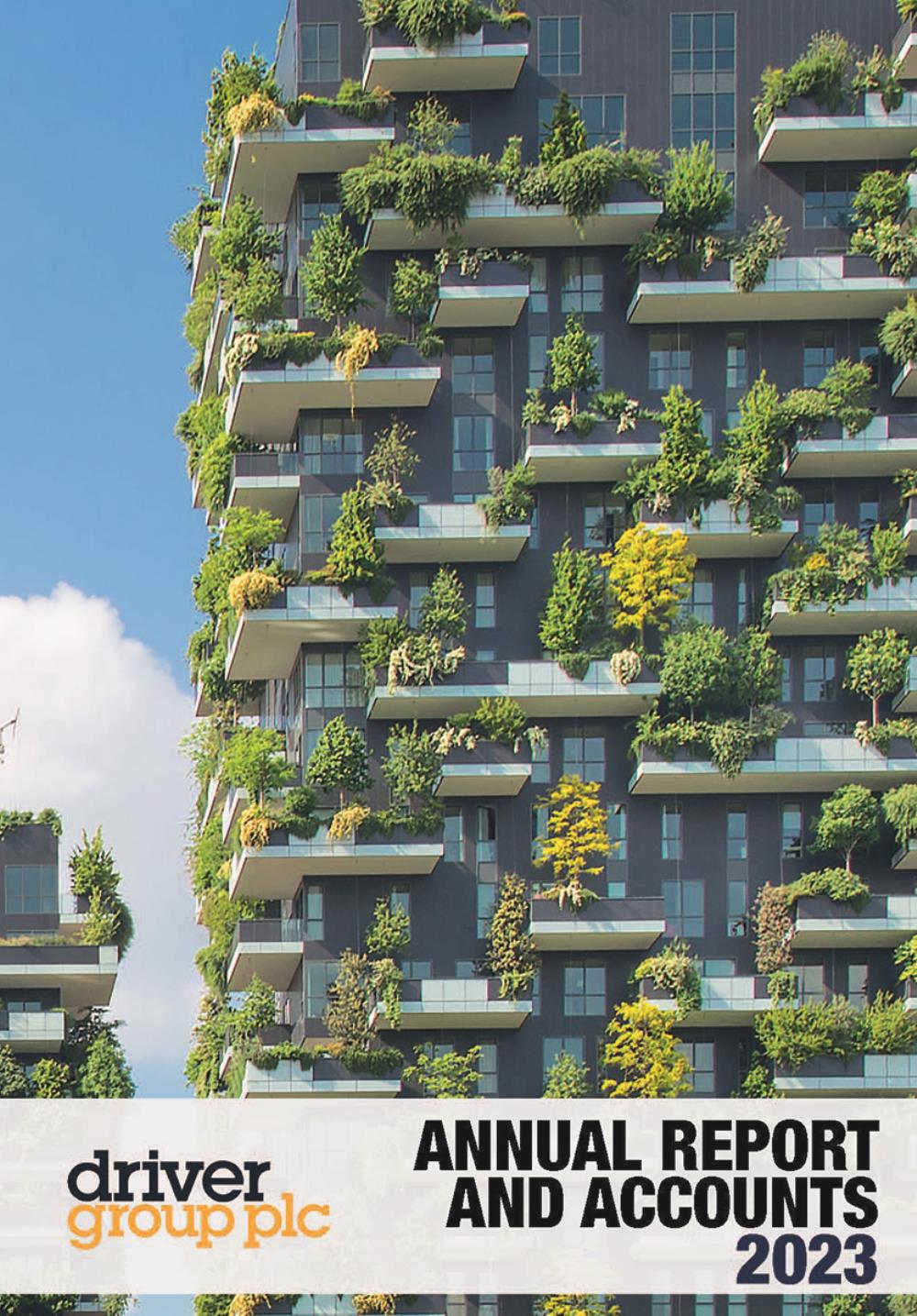 Annual Report and Accounts 2019 | Diales